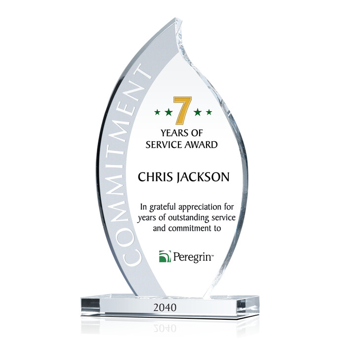 Plaques Unique Corporate Service Award Trophy M 7 5 Customized With plaques-unique-corporate-service-award-trophy-m-7-5-customized-with
